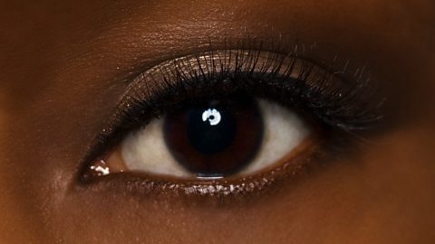 Evolution - BBC News