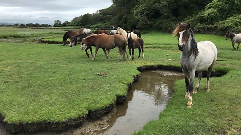 BBC Wales - BBC Wales - Explore the Welsh coast this summer