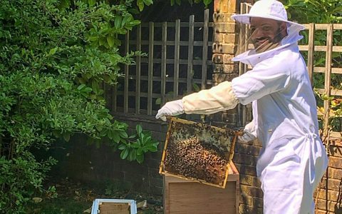 BBC Radio 2 - Radio 2's Big Bee Challenge - Big Bee Challenge - Get ...