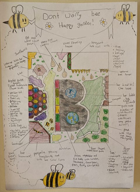 BBC Radio 2 - Radio 2's Big Bee Challenge - Big Bee Challenge winner ...