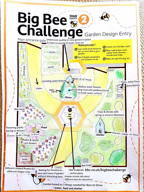 BBC Radio 2 - Radio 2's Big Bee Challenge - Big Bee Challenge winner ...