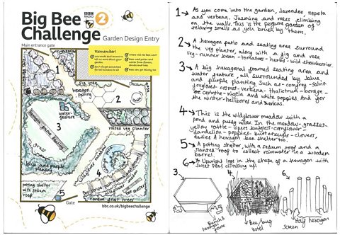 BBC Radio 2 - Radio 2's Big Bee Challenge - Big Bee Challenge winner ...