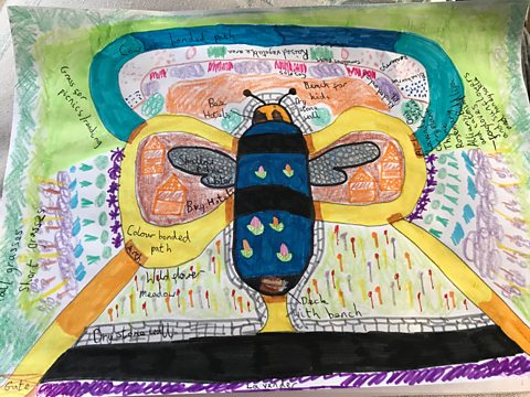 BBC Radio 2 - Radio 2's Big Bee Challenge - Big Bee Challenge winner ...