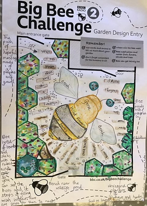 BBC Radio 2 - Radio 2's Big Bee Challenge - Big Bee Challenge winner ...
