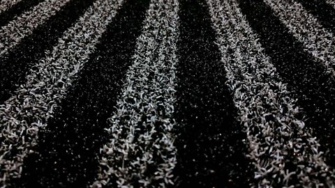 How we can reduce use of plastic - BBC Bitesize