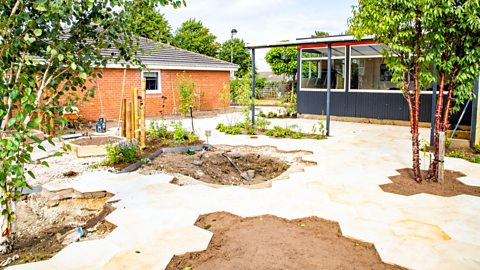 BBC Radio 2 - Radio 2's Big Bee Challenge - The Big Bee Challenge live ...