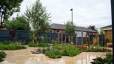 BBC Radio 2 - Radio 2's Big Bee Challenge - The Big Bee Challenge live ...