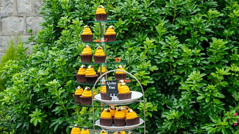 BBC Radio 2 - Radio 2's Big Bee Challenge - The Big Bee Challenge live ...