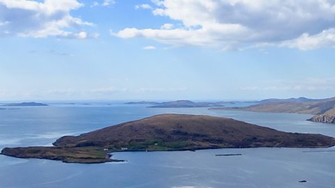 BBC - Isle Martin Seaweed Festival