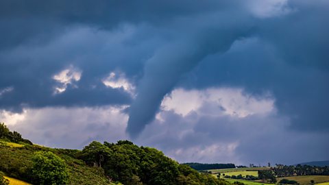 BBC - Pic of the Season Summer 2021