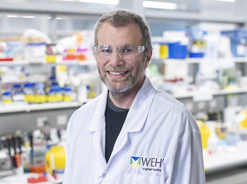 Giáo sư Ivo Mueller: 'Việt Nam phải mở cửa thận trọng và từ từ' - BBC ...