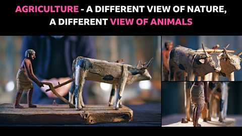 BBC Arts - BBC Arts - The first art: What ancient objects reveal about ...