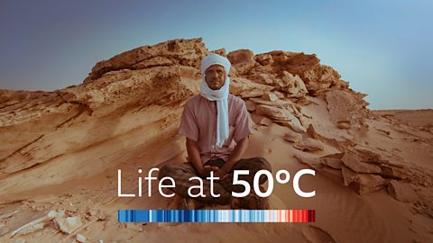 Effects of global warming - BBC News