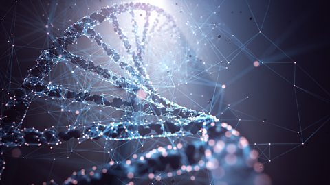 Genetic engineering - BBC News