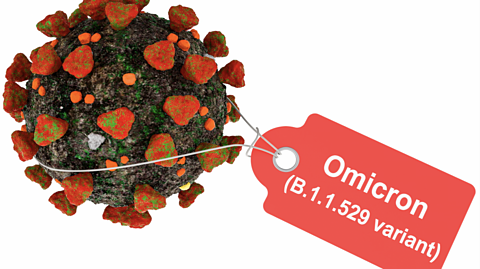 Covid: Thử nghiệm cho thấy Omicron có thể phần nào 'né' được vaccine ...