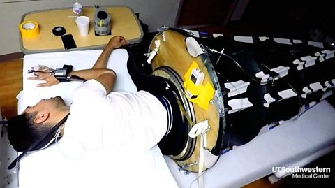 Astronauts - BBC News