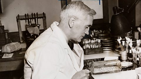 Drug resistance - BBC News