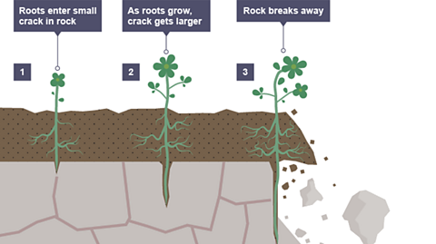 The rock cycle - The Earth and atmosphere - KS3 Chemistry - BBC Bitesize