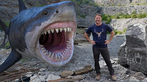 Deadly Predators - CBBC - BBC