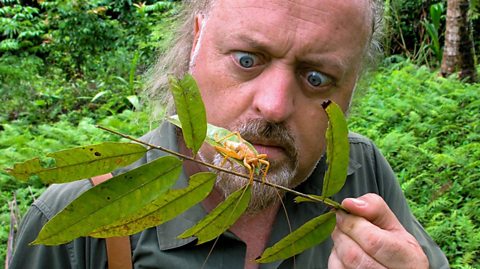 BBC Radio 5 Live - Headliners with Nihal Arthanayake - Bill Bailey ...