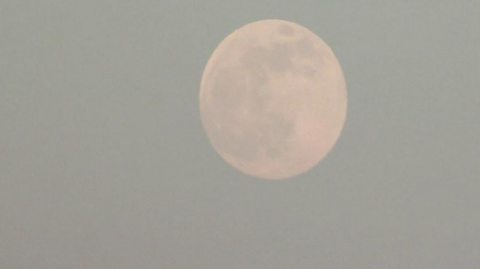 Pink Moon: The full moon will be visible this week - CBBC Newsround