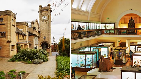 BBC Arts - BBC Arts - Typecast: Alan Kitching on the art of letterpress