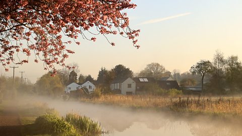 BBC - Pic of the Season - Spring 2022