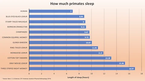 Why humans get less sleep than other primates