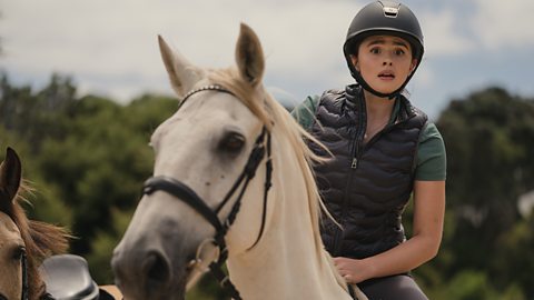 All-things Animals on iPlayer - CBBC - BBC