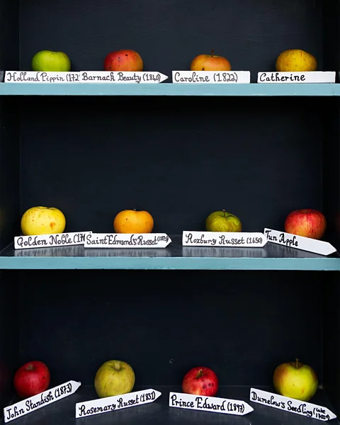 The UK's heritage apple renaissance