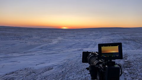 BBC One - Frozen Planet II - Pallas’s cats on the Mongolian Steppe