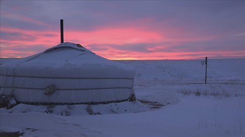 BBC One - Frozen Planet II - Pallas’s cats on the Mongolian Steppe