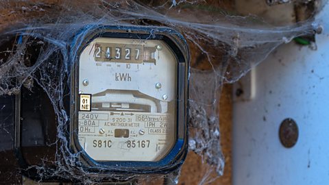 BBC Radio 4 - The Witch Farm - The Story of The Witch Farm