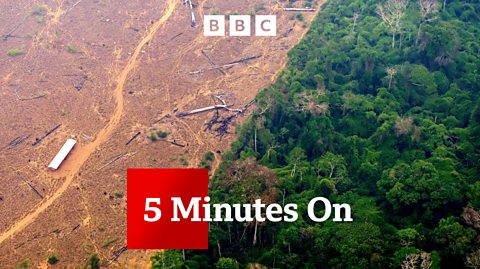 Deforestation of the Amazon rainforest - BBC News