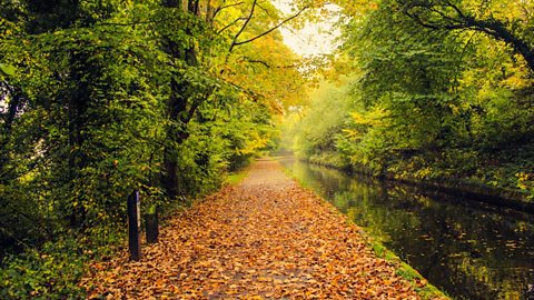 BBC - Pic of the Season - Autumn 2022