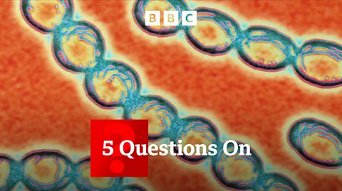 Medical research - BBC News