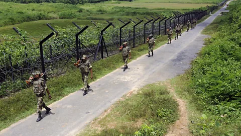 How national border walls are splitting ecosystems apart