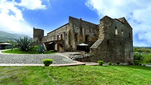 Citron: The exquisite fruit that brings rabbis