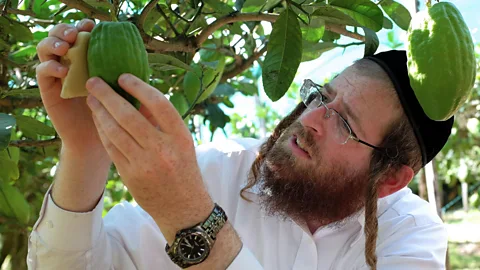 Citron: The exquisite fruit that brings rabbis