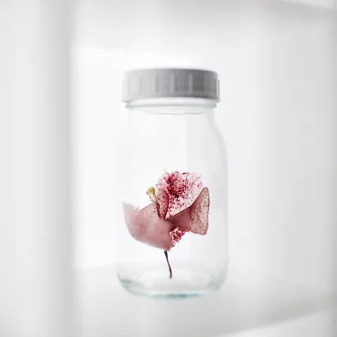 Alchemist: Is this the world's most creative restaurant?