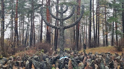 Soviet Union - BBC News