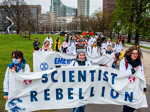 UK climate change protests - BBC News