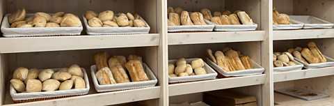 BBC World Service - Witness History - Five things you didn't know about ...