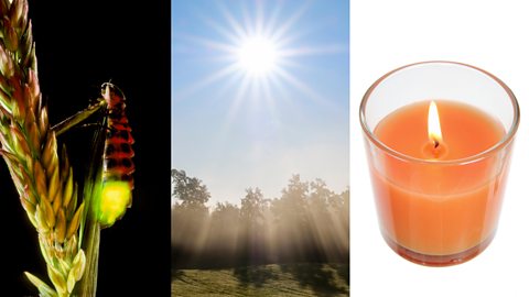 All about light - BBC Bitesize