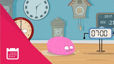 Time - KS2 Maths - BBC Bitesize