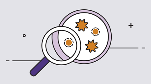 GCSE Biology exam 2023 revision support - BBC Bitesize