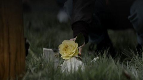 Red Rose: Five things you might've missed - BBC Three