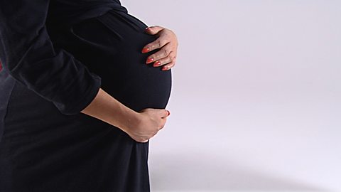 Pregnancy - BBC News