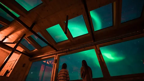 Dan's Diner: A wild dinner in a roving Tundra Buggy