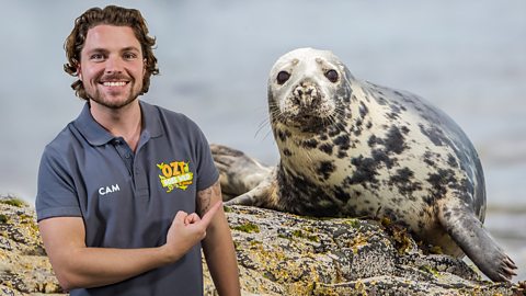 All-things Animals on iPlayer - CBBC - BBC